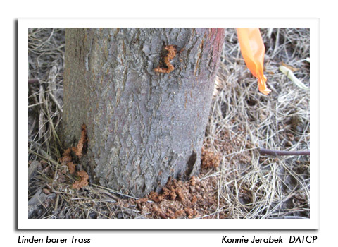 Wisconsin Pest Bulletin