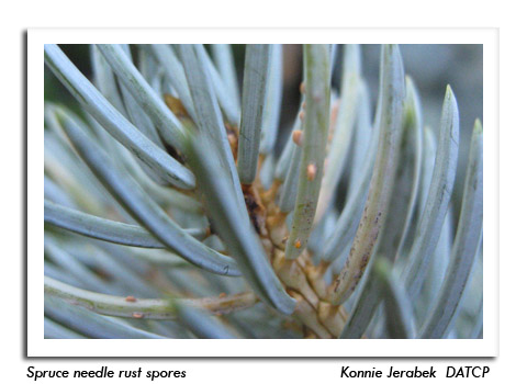 Wisconsin Pest Bulletin